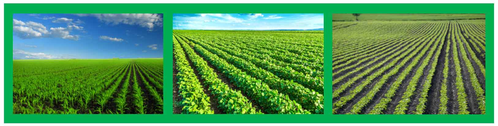In-Furrow Fertilizers - CROPCHOICE